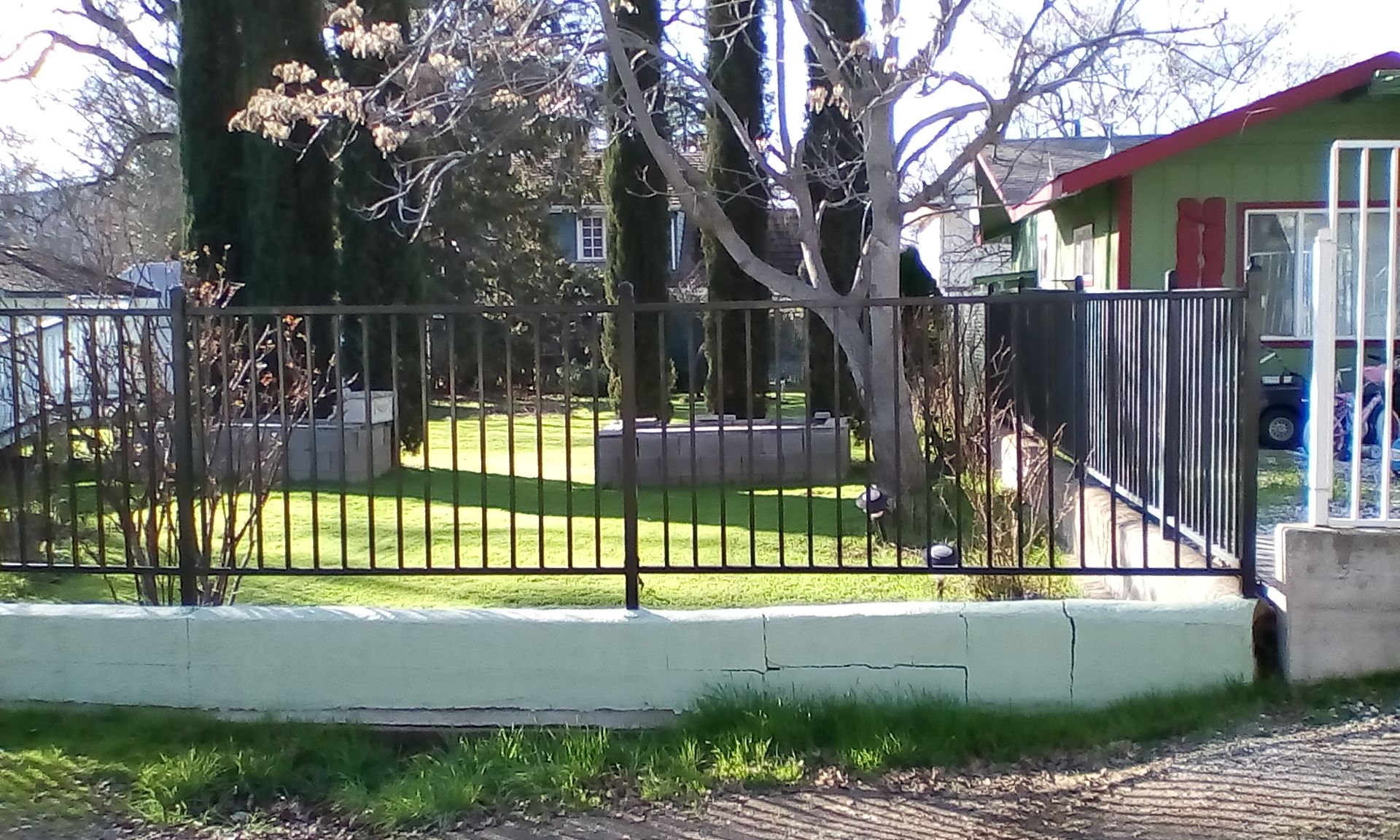 My Homestead « Nelson Symes